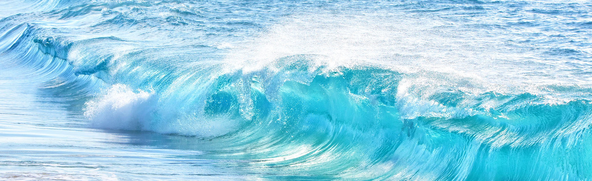 Wave Design Collection – DecorsMarket