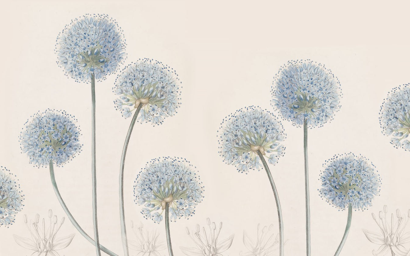 Dandelion Floral Dutch Flowers Blue Wallpaper Mural - Decorsmarket ...