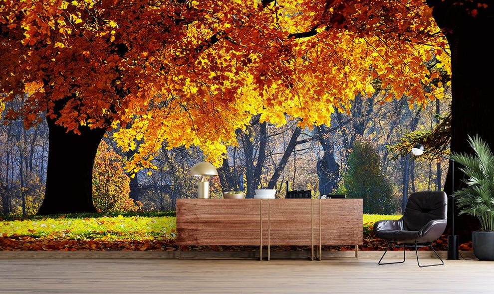 Deciduous Grass Forest Seasons Gold Wallpaper Mural - Decorsmarket ...