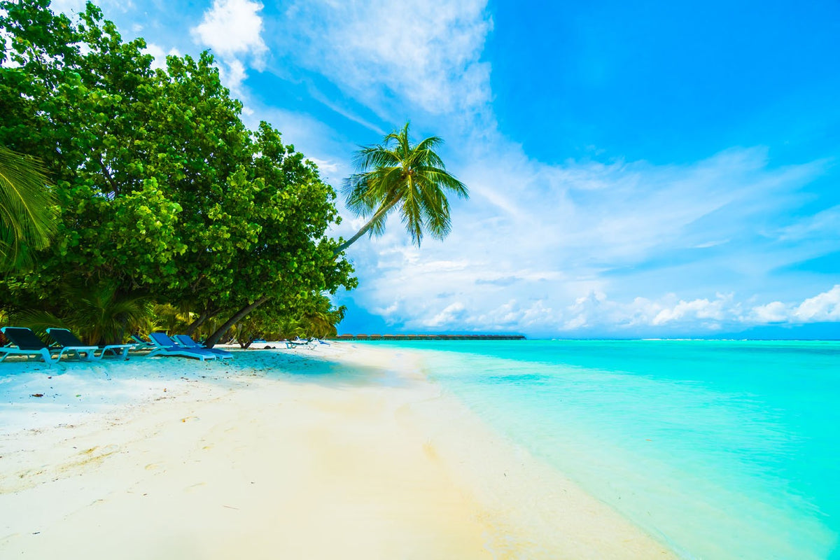 Island Beach Blue Wallpaper Mural - Decorsmarket – DecorsMarket
