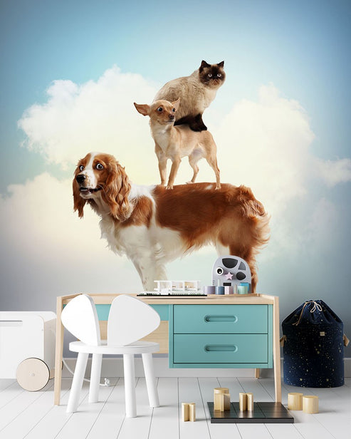 Cat Dogs Stack Kids Animal Bright Wallpaper Mural - Decorsmarket ...