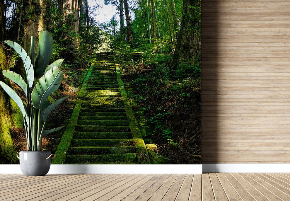 Step Forest Seasons Green Wallpaper Mural - Decorsmarket – DecorsMarket