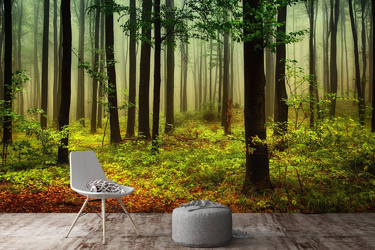 Shade Forest Seasons Green Wallpaper Mural - Decorsmarket – DecorsMarket