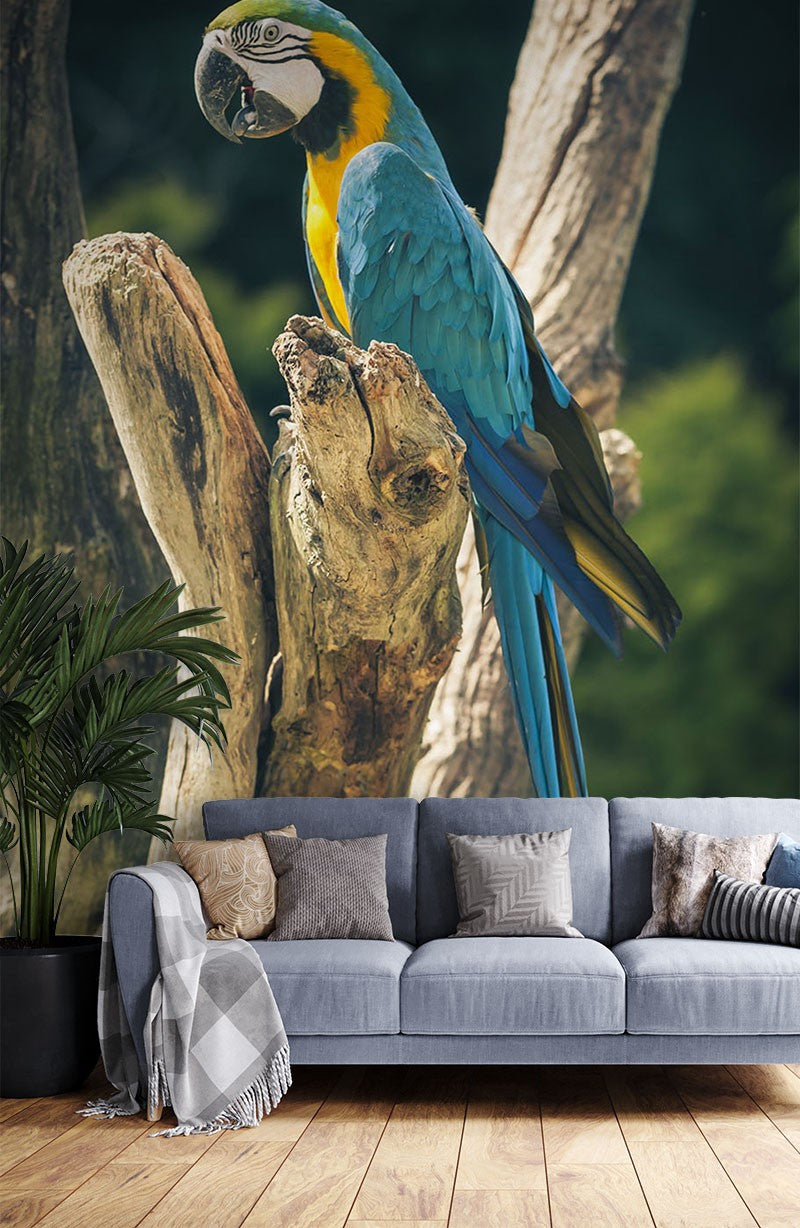 Parrot Animals Birds Blue Wallpaper Mural - Decorsmarket – DecorsMarket