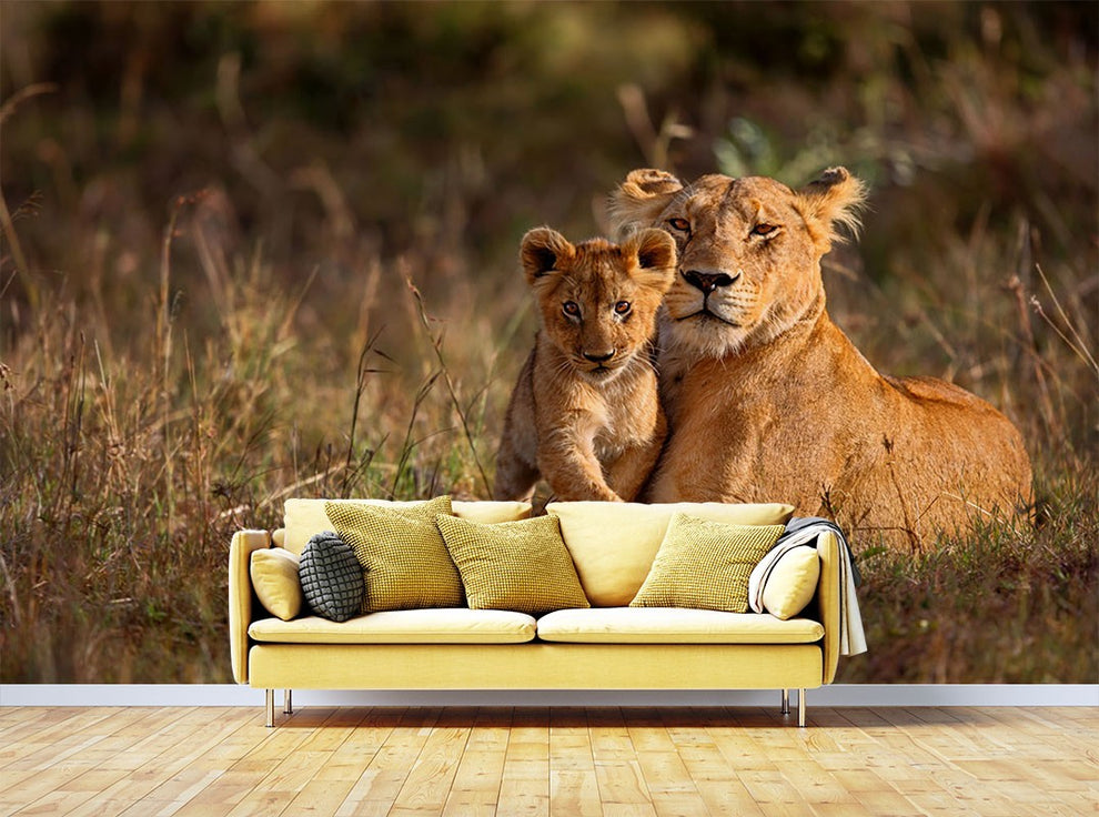 Lion Animals Wild Animals Yellow Wallpaper Mural - Decorsmarket ...