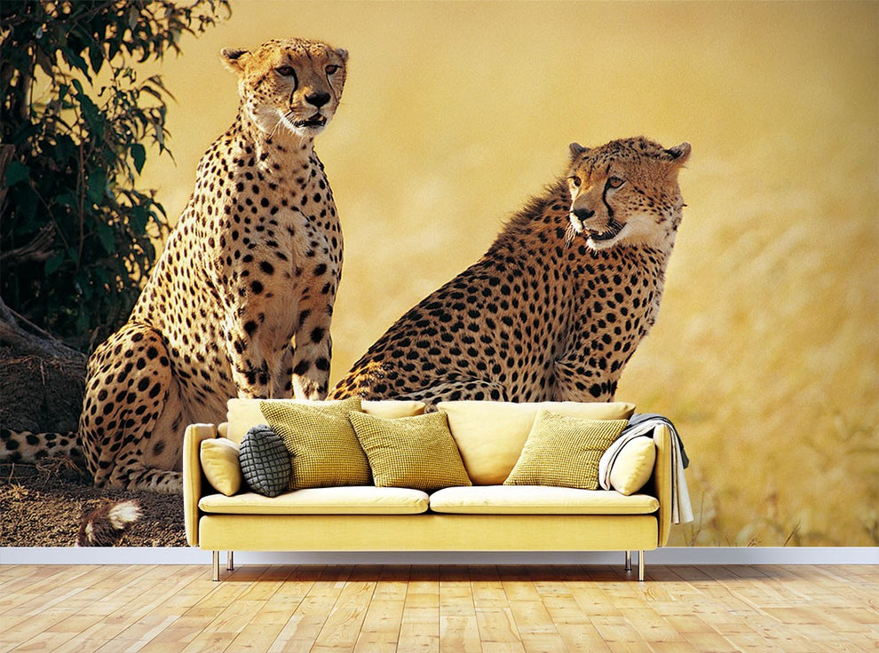 Cheetah Animals Wild Animals Yellow Wallpaper Mural - Decorsmarket ...