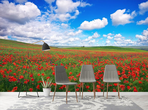 Poppy Dutch Flower Floral Dutch Flowers Red Wallpaper Mural – DecorsMarket