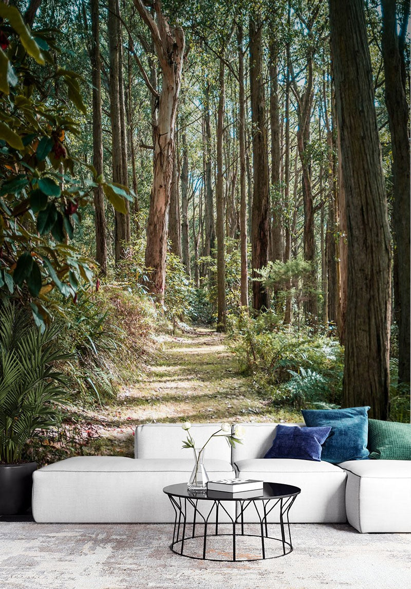 Path Forest Green Wallpaper Mural - Decorsmarket – DecorsMarket