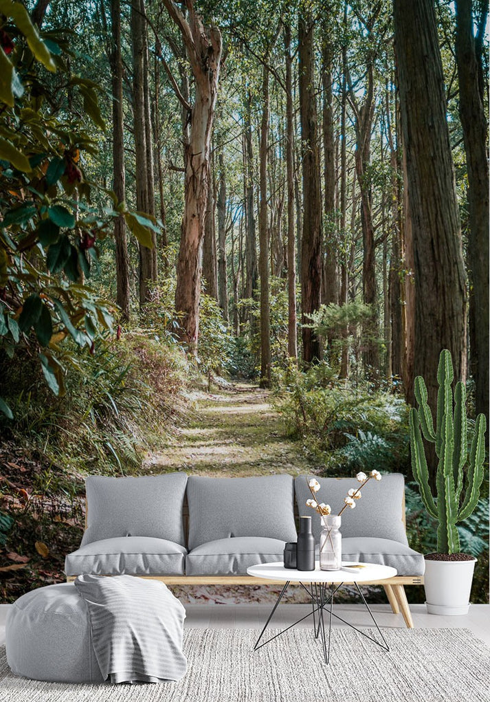 Path Forest Green Wallpaper Mural - Decorsmarket – DecorsMarket